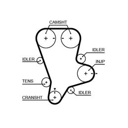GATES Zahnriemen 5644xs f&uuml;r KIA