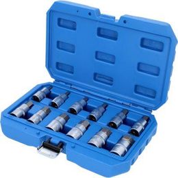 Brilliant Tools Kraft-Stecknuss-Satz 1/2 Innensechskant Bit-Stecknuss-Satz, 12-tlg, 5 - 22 bt022012