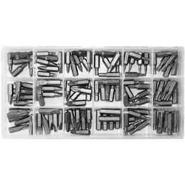 SWSTAHL Set, Schraubendreher-Einsatz (Bits) Bitsortiment, 1/4, 108-teilig 04142l