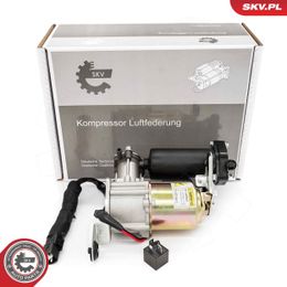 ESEN SKV Kompressor, Druckluftanlage 58skv509 f&uuml;r LEXUS