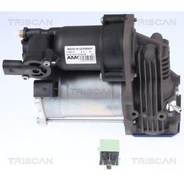 TRISCAN Kompressor, Druckluftanlage 872511102 f&uuml;r BMW