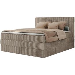 H&ouml;ffner Boxspringbett mit Bettkasten Tiliano King &brvbar; braun &brvbar; Ma&szlig;e (cm): B: 186 H: 119 &raquo; H&ouml;ffner