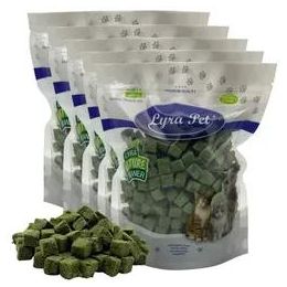 1 kg (5 x 200 g) LYRA PET&reg; Katzengrasw&uuml;rfel gefriergetrocknet