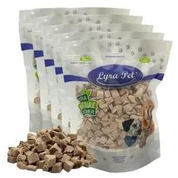 1 kg (5 x 200 g) LYRA PET&reg; Entenbrustw&uuml;rfel gefriergetrocknet