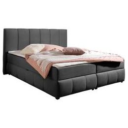 Boxbett OTTO HOME "Hartley inkl. Bettkasten und Topper, auch in &Uuml;berl&auml;nge erh&auml;ltlich", grau (anthrazit), B:172cm L:210cm, Komplettbetten, wahlweise mit Bonnell- oder TTFK-Matratze in H2, H3 o. H4 erh&auml;ltlich