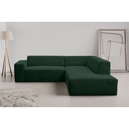 Ecksofa WERK2 "Zeus-M, B/T: 251/262 cm, tolles Sofa mit sch&ouml;nen Details, L-Form", gr&uuml;n (moosgr&uuml;n), B:251cm H:70cm T:262cm, 90% Polyester, 10% Nylon, Sofas, Ecksofa, Curvy Trend Garnitur, urbane Optik, komfortable Wellenunterfederung