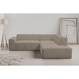 Ecksofa WERK2 "Zeus-M, B/T: 251/262 cm, tolles Sofa mit sch&ouml;nen Details, L-Form", beige (greige), B:251cm H:70cm T:262cm, 90% Polyester, 10% Nylon, Sofas, Ecksofa, Curvy Trend Garnitur, urbane Optik, komfortable Wellenunterfederung