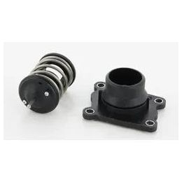 TRISCAN Thermostat, K&uuml;hlmittel 862028087 f&uuml;r TOYOTA MINI