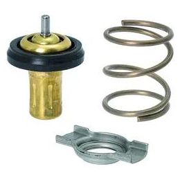 FACET Thermostat, K&uuml;hlmittel 78822 f&uuml;r FIAT JEEP LANCIA CADILLAC SUZUKI