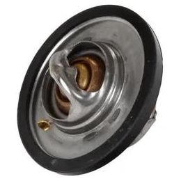 Continental Thermostat, K&uuml;hlmittel 28020041002 f&uuml;r FORD
