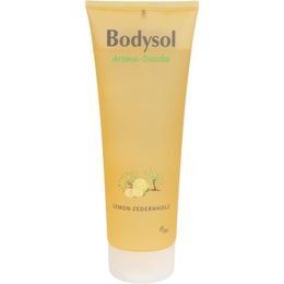 Bodysol Aroma Duschgel Lemon Zedernholz 250 ml