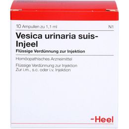 Heel Vesica Urinaria suis-Injeel Ampullen 10 St