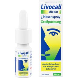 Livocab direkt Nasenspray 10 ml