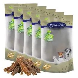 5 kg LYRA PET&reg; Rinderd&ouml;rrfleisch