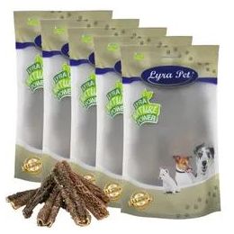 5 kg LYRA PET&reg; Rinderpansen gro&szlig;