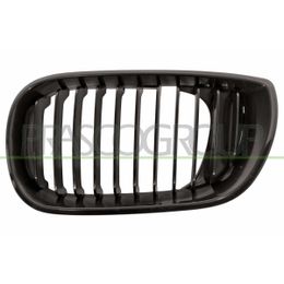 PRASCO K&uuml;hlergitter bm0202024 links f&uuml;r BMW