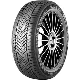 ROTALLA - REIFEN Winterreifen 914914 205/55 R16 91H