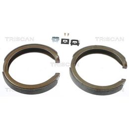 TRISCAN Bremsbackensatz, Feststellbremse 810010040 f&uuml;r CHEVROLET SSANGYONG MAZDA