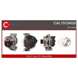 Casco Generator cal15124gs f&uuml;r FORD FIAT