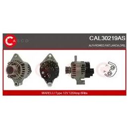 Casco Generator cal30219as f&uuml;r OPEL FIAT