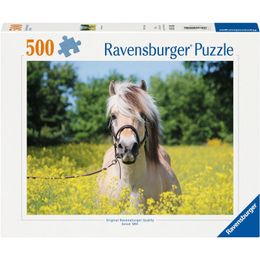 Puzzle Ravensburger "Pferd im Rapsfeld", bunt, Puzzles, KinderB:49cm H:36cm, Pappe, Made in Germany, B:49cm H:36cm