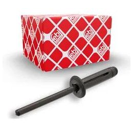 febi bilstein Blindniet 100643 f&uuml;r Ford