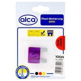 ALCA Sicherung 669000