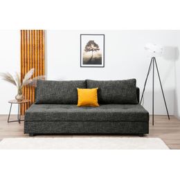Schlafsofa Collection AB "Daria, B: 194 cm, Liegel. 147x194 cm", grau (dunkelgrau), B:194cm H:41cm T:90cm, 100%Polyester, Sofas, Schlafsofa, Bettfunktion, Bettkasten & 1 Zierkissen, Federkern