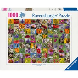 Puzzle Ravensburger "99 Bienen", bunt, Puzzles, KinderB:70cm H:50cm, Pappe, Made in Germany, B:70cm H:50cm