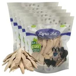 1 kg (5 x 200 g) LYRA PET&reg; Entenbrust gefriergetrocknet