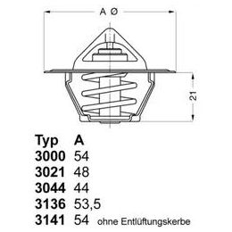 BORGWARNER Thermostat, K&uuml;hlmittel 314187d f&uuml;r SKODA VW