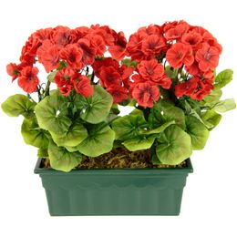 Kunstblume my home "Geranie", rot, B:30cm H:36cm L:18cm, Obermaterial: 90% Polyester, 10% Kunststoff, Kunstpflanzen, Im Kasten