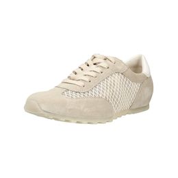 Schn&uuml;rschuh Paul Green "Paul Green Sneaker Veloursleder/Textil", Damen, Gr. 38,5, beige, Textil, Veloursleder, Schuhe Schn&uuml;rschuh