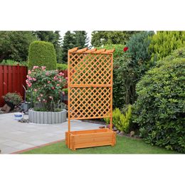 Promadino Rankkasten mit Pergola braun 102 x 200 x 64,5 cm