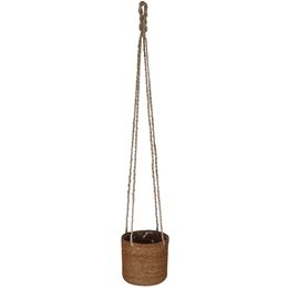 H&auml;ngeampel Hogla-Gras natur mit Polybeutel &Oslash; 14 x 14 cm