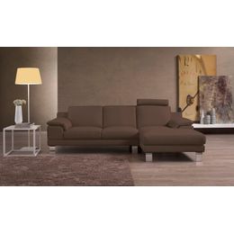 Ecksofa Egoitaliano "Shakira, Design & Sitzkomfort auf hohem Niveau, Breite 236cm, L-Form", braun (chocolate), B:236cm H:84cm T:152cm, Leder &raquo;BULL&laquo; (echtes Rindsleder). Geschliffenes, pigmentiertes und behandeltes Rindsleder mit einer Dicke von 1, 3-1, 5 mm. Dieses Leder zeigt eine ziemlich weiche Hand mit einem halb undurchsichtigen Aussehen. Es handelt sich um ein gesch&uuml;tztes Leder. Eine leichte