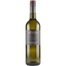 Weingut Tobias M&uuml;ller Grauburgunder 2025 Halbtrocken - Rheinhessen &ndash; Wei&szlig;wein Qualit&auml;tswein