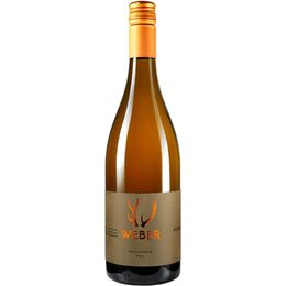 Weingut Weber vom L&ouml;ss Sechsender Grauburgunder 2025 Trocken - Pfalz &ndash; Wei&szlig;wein Qualit&auml;tswein