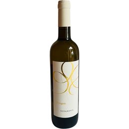 Vita Nova Frege&eacute; IGT Alpi Retiche 2025 Trocken - Nebbiolo Chiavennasca Lombardei &ndash; Wei&szlig;wein Vino Generico