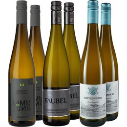 Wirwinzer Select Wei&szlig;wein Premium-Paket Trocken - Verschiedene Regionen &ndash; Probierpaket Qualit&auml;tswein