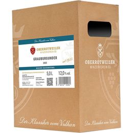 Oberrotweiler Winzerverein , Bag-in-Box, 5 L, Region Kaiserstuhl, Baden 5,0 L Grauburgunder 2025 Trocken - &ndash; Wei&szlig;wein Qualit&auml;tswein