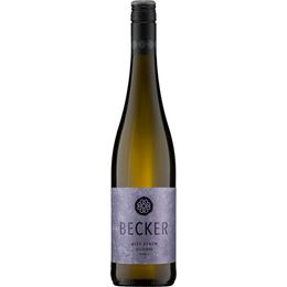 Weingut Karlheinz & Dominik Becker -Alte Reben- Silvaner 2024 Trocken - Pfalz &ndash; Wei&szlig;wein Qualit&auml;tswein