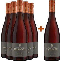 Weingut Kloster Eberbach Kloster Eberbach 5+1 Paket Pinot Noir Sp&auml;tburgunder 2023 Trocken - Rheingau &ndash; Probierpaket Qualit&auml;tswein
