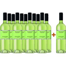 Weingut Friedrich Kiefer 11+1 Paket Rivaner M&uuml;ller-Thurgau / 2024 Feinherb - Baden &ndash; Probierpaket Qualit&auml;tswein