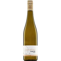 Weingut Dohlm&uuml;hle Weingut Dohlm&uuml;hle Souvignier Gris 2025 Feinherb - Rheinhessen &ndash; Wei&szlig;wein Qualit&auml;tswein