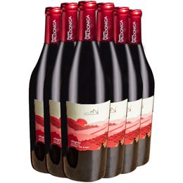 Valdonica Box Promozionale Ciliegiolo 2019 - Toskana &ndash; Probierpaket DOC