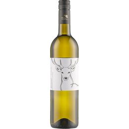 Weinhof Hirschb&uuml;chler Weinviertel DAC Reserve Junger Berg Gr&uuml;ner Veltliner 2021 Trocken - &ndash; Wei&szlig;wein Qualit&auml;tswein