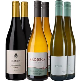 Wirwinzer Select Rheinhessen Verkostungs-Paket 2025 Trocken - &ndash; Probierpaket Diverse