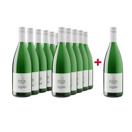 Weinbau Weckbecker 11+1 Lehmener Literpaket Riesling 2024 Trocken - Mosel &ndash; Probierpaket Kabinett