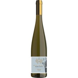 Weingut M&uuml;ller-Dr. Becker Weingut M&uuml;ller-Dr. Becker "MARIA undf KURT" Riesling 2024 Trocken - Dalsheimer Hubacker Rheinhessen &ndash; Wei&szlig;wein Qualit&auml;tswein